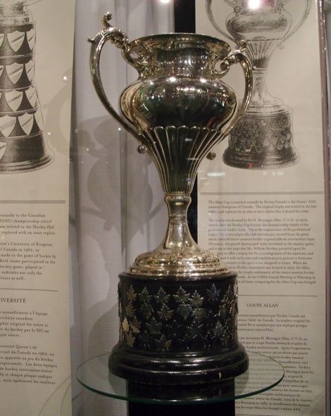 La coupe Stanley, le top du hockey en Amérique du Nord - Pariersport.ca